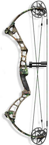 Darton 3800: A Muscle Bow With Manners